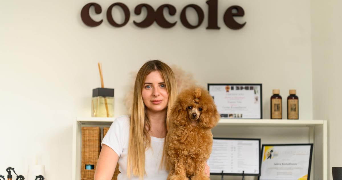 Pravi spa centar za kućne ljubimce - Living